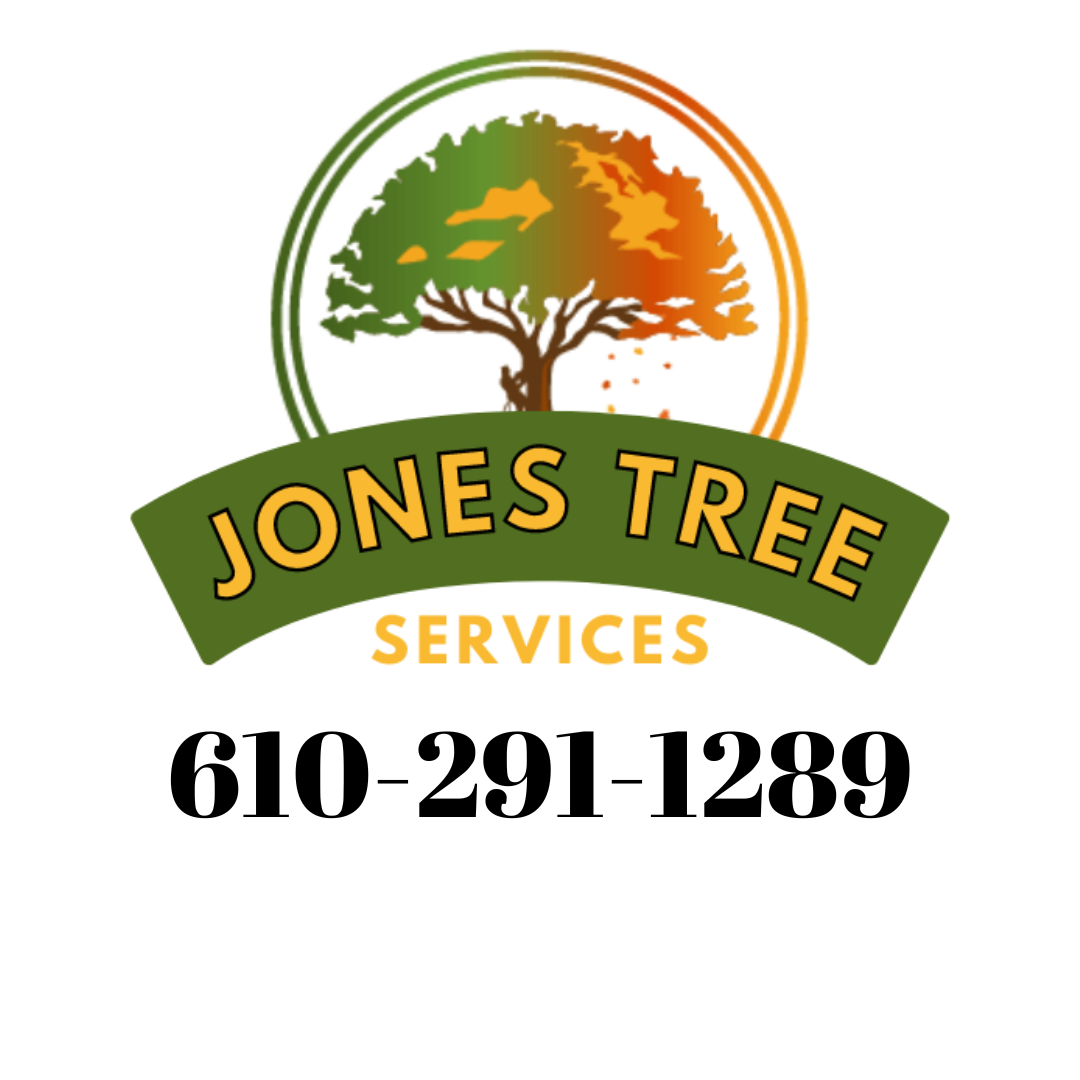 Tree Services | Havertown, PA | Jones Tree Services