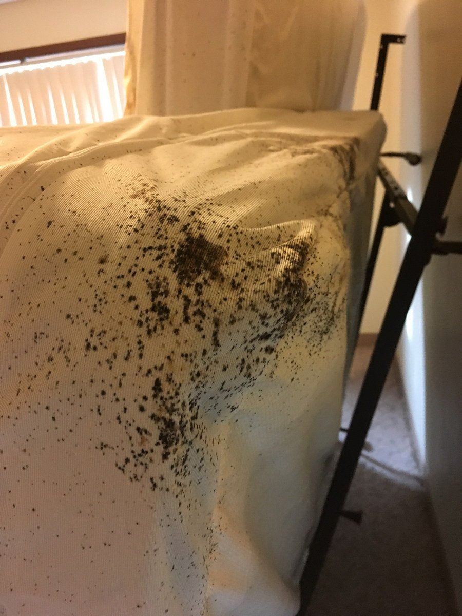 gallery - Lemke Pest Control, LLC - Rochester, MN