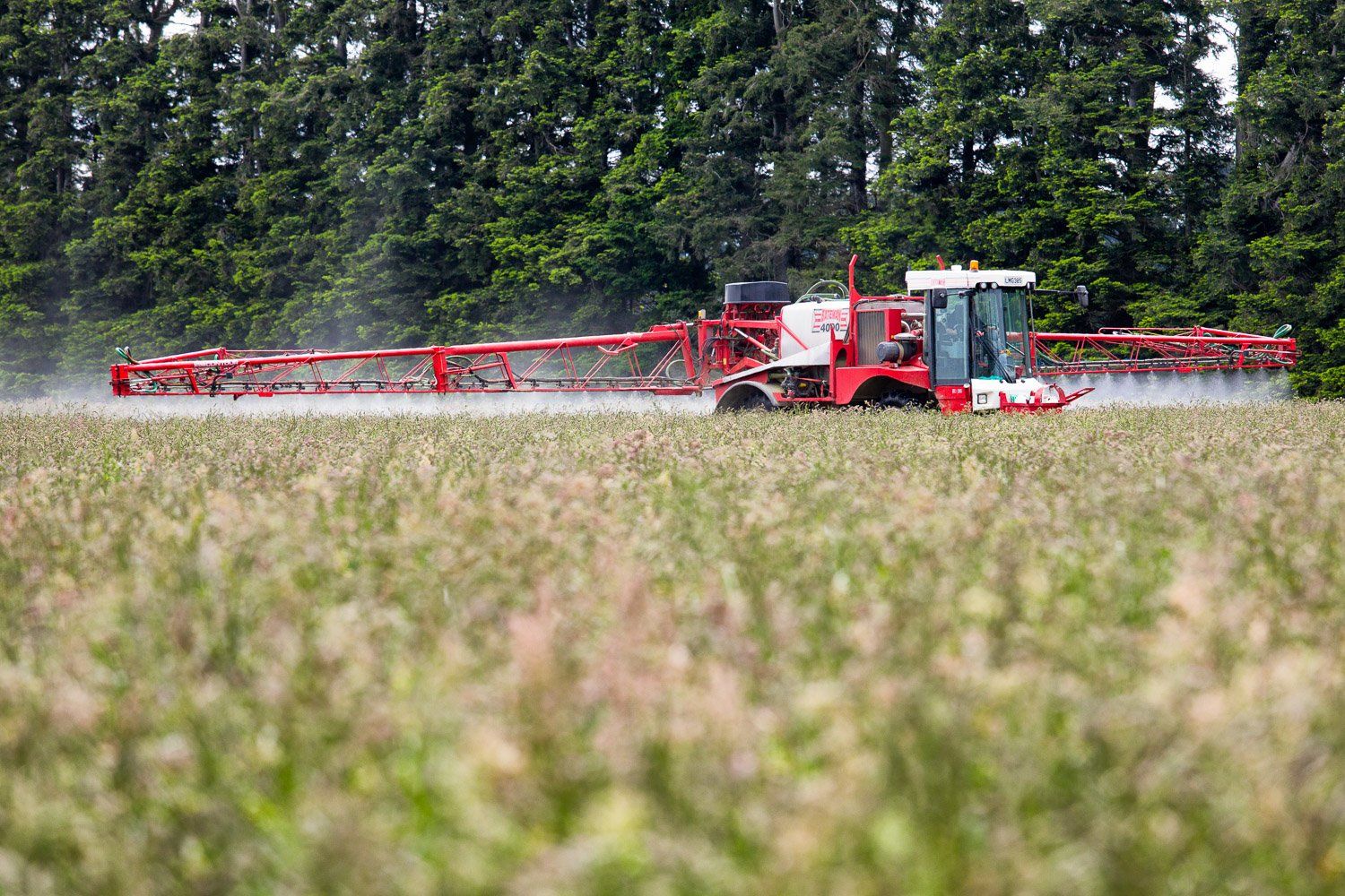 Molloy Agriculture Limited | Crop Spray | Spraying Contractor | South ...