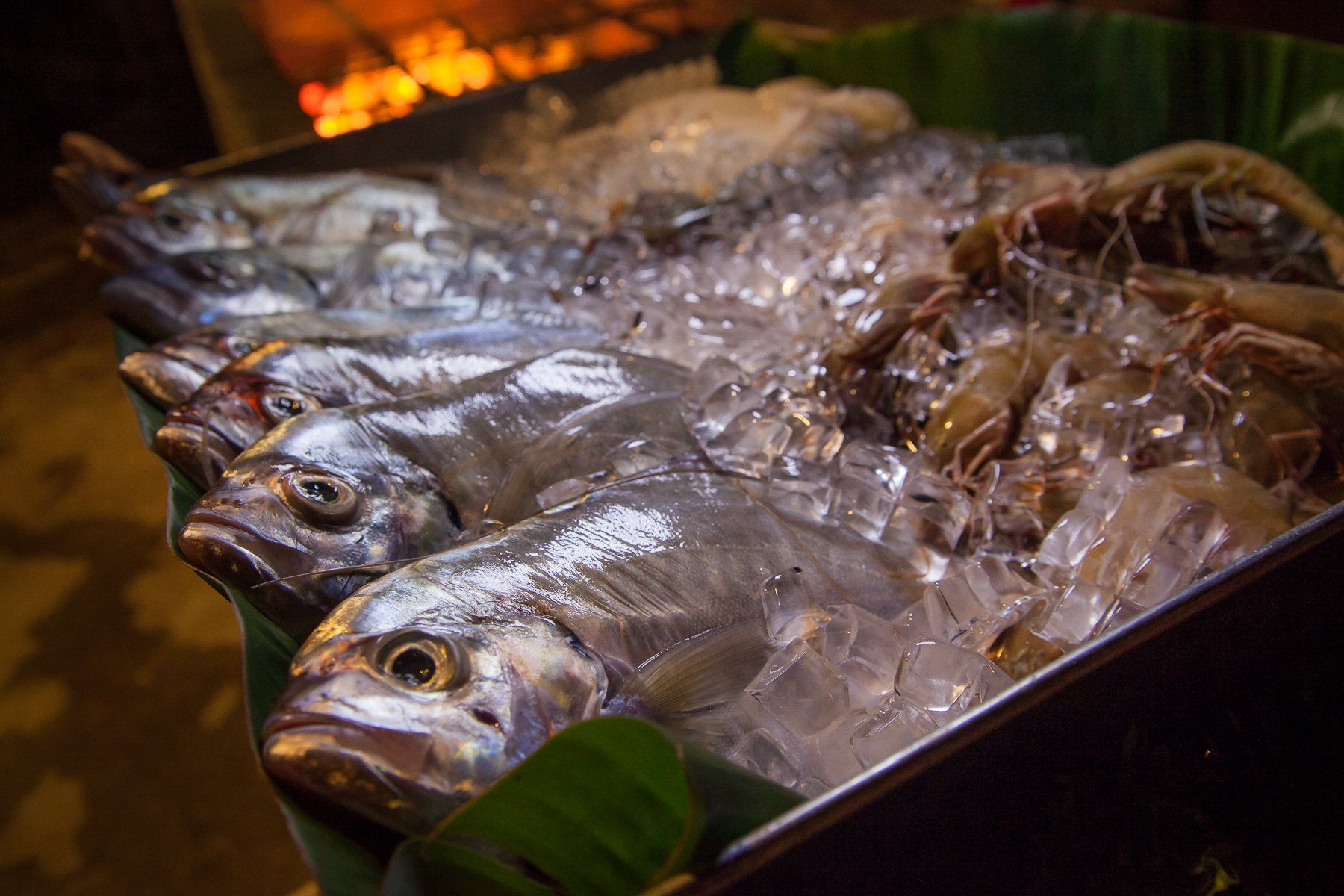 Blue Coral Restaurant and Lounge