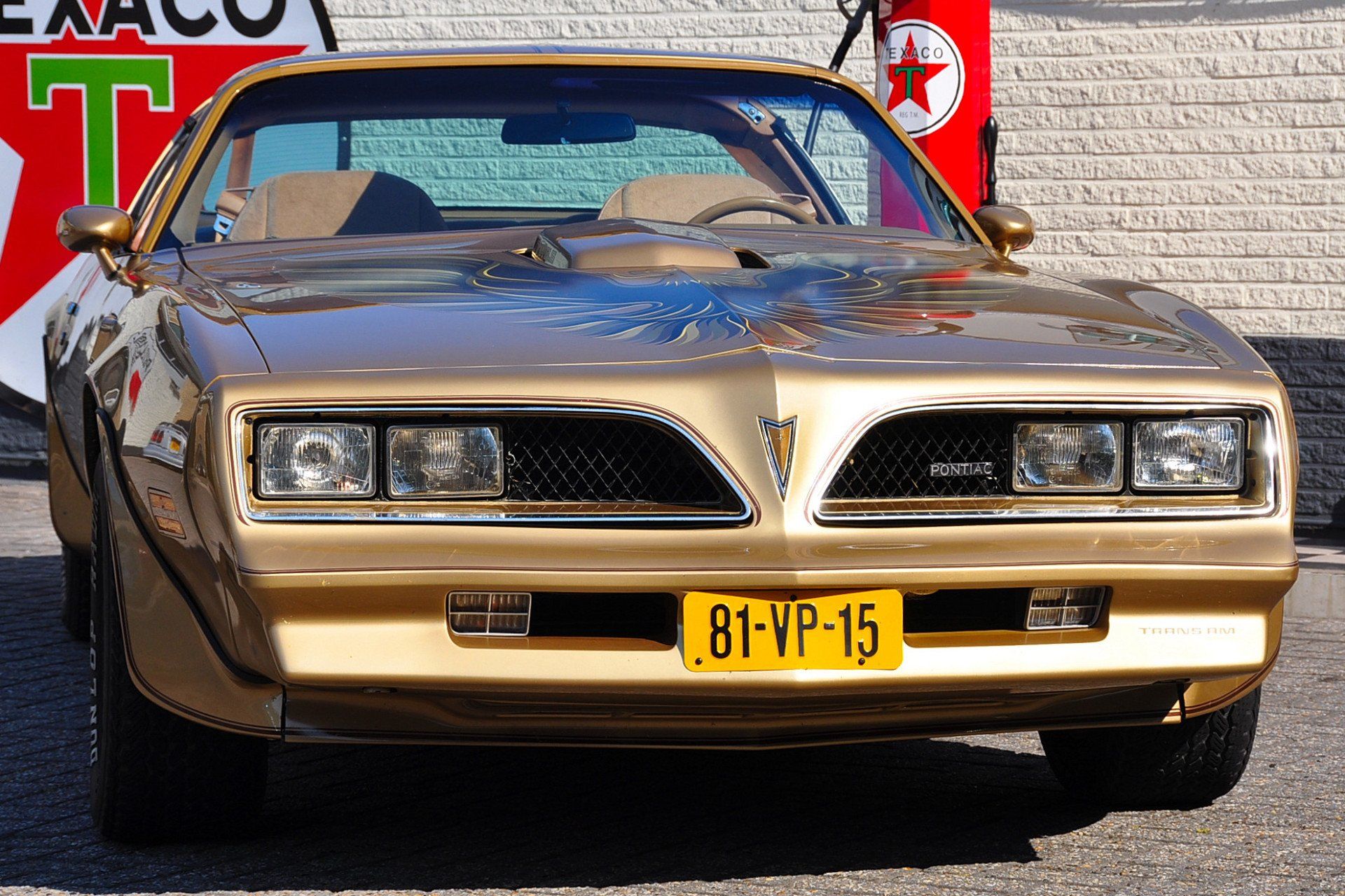 Pontiac Firebird Trans Am V8 Special Edition kopen? | T&O Auto's