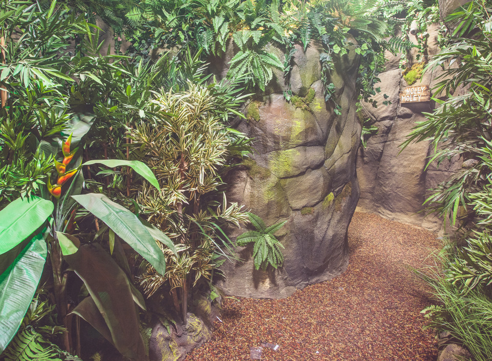 Artificial Rockwork, Fake Rockwork & Theming | Alan Bishop THEMEWORKS