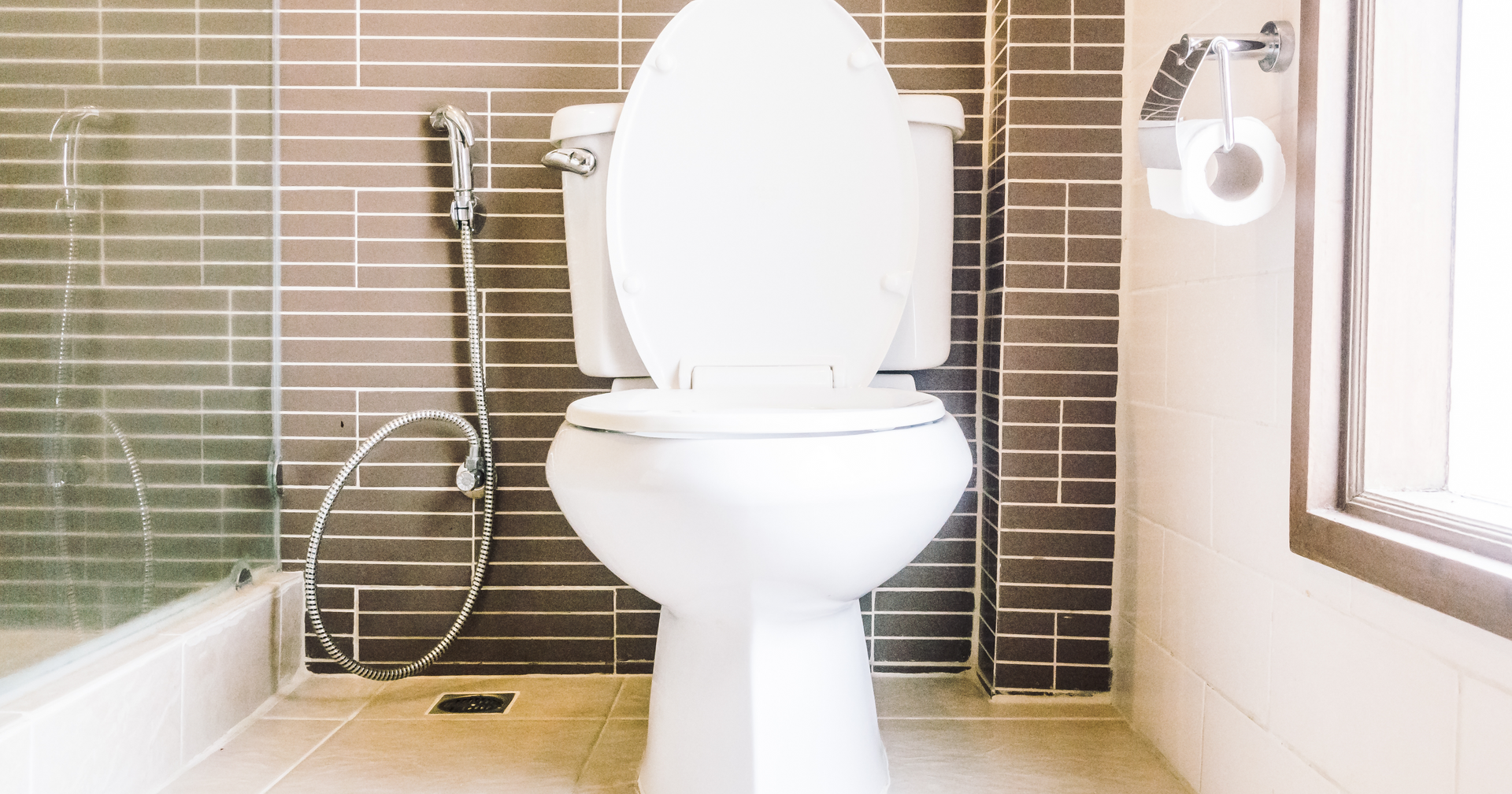 Toilet Talk: From Clogs to Comedy, the Porcelain Chronicles