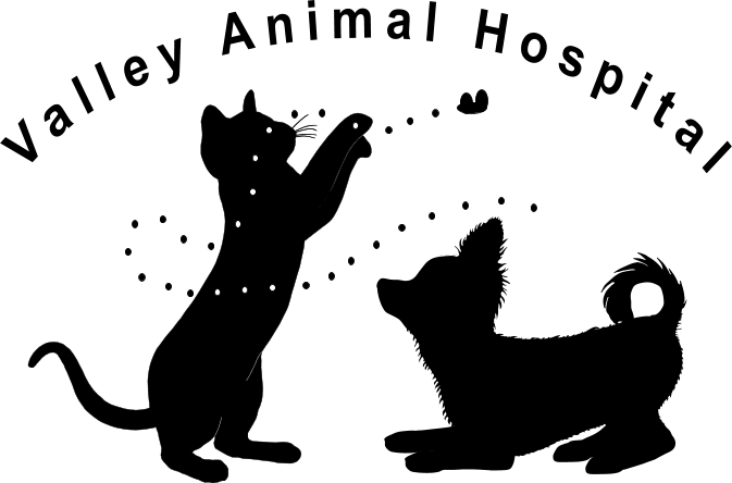 Our Careteam | Valley Animal Hospital