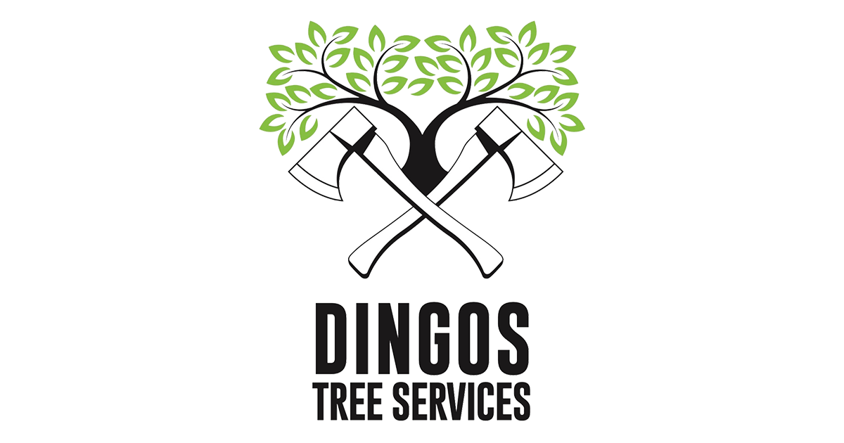 Contact Us | Dingo's Tree Service