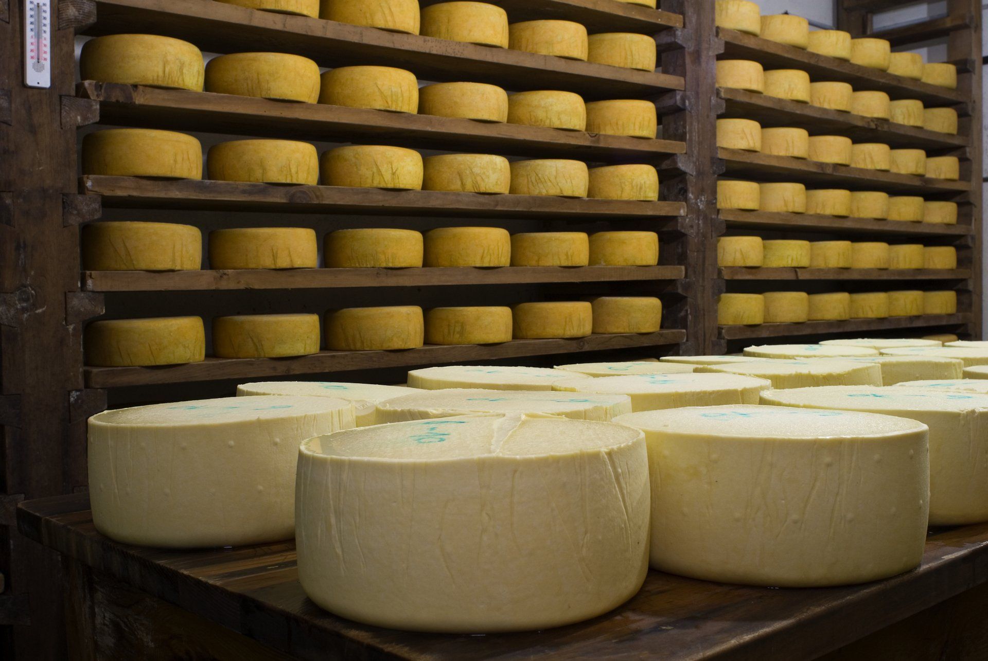 Brewery and Cheese Factory