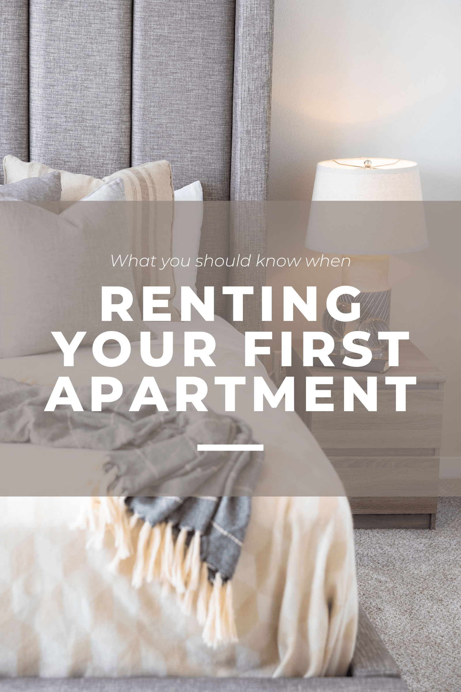 What You Should Know When Renting Your First Apartment