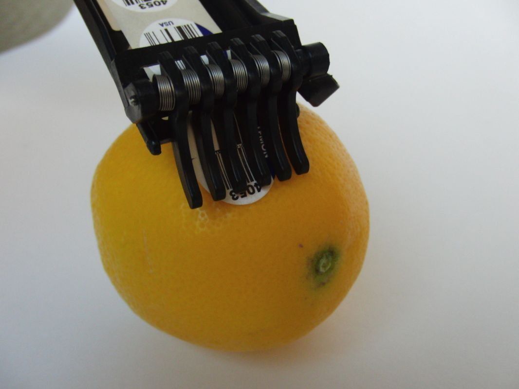 Produce Labels | International | 805-450-8625