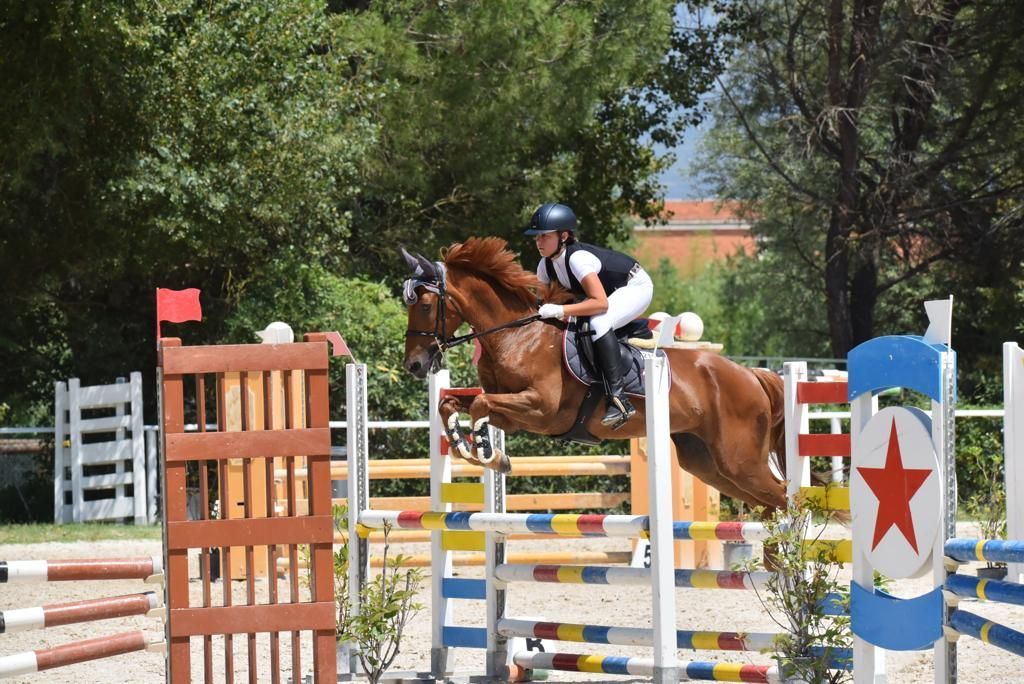 Scuola di equitazione a Roma (RM) | Circolo Ippico Due Ponti