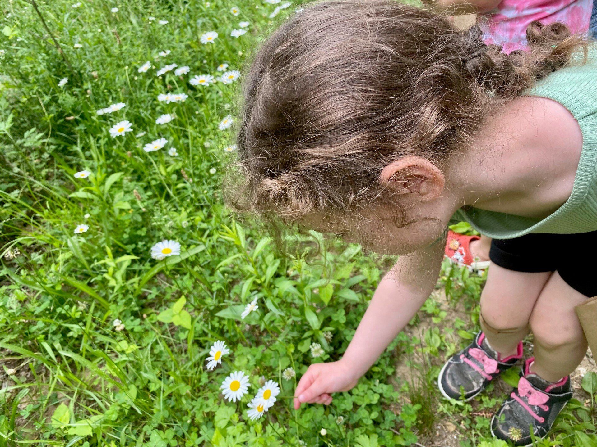 Gallery – Dover, NH – Children In Motion