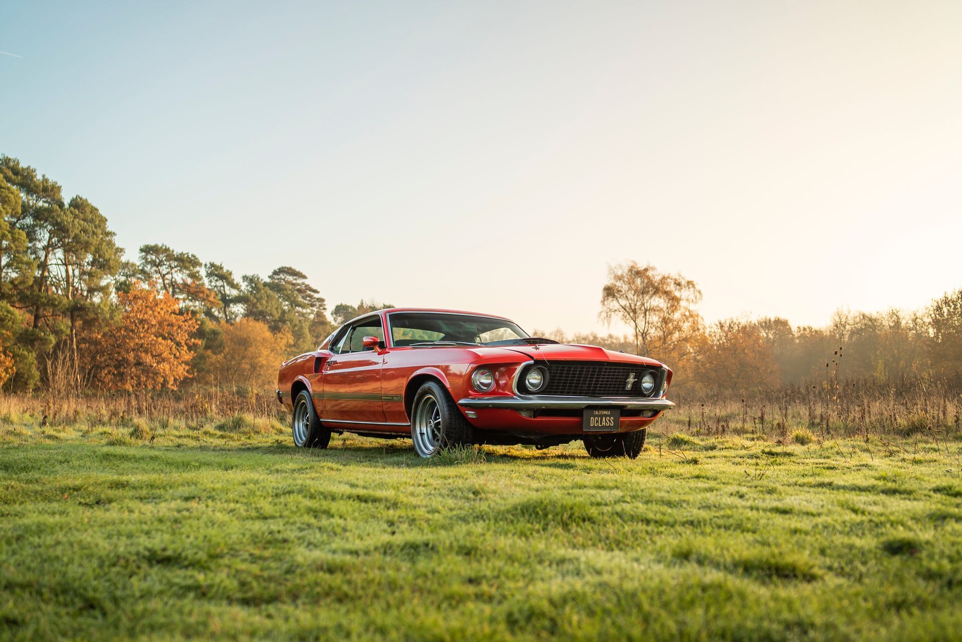 Ford Mustang Mach 1 Interior Retrim