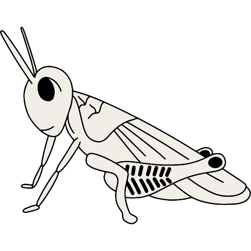 Art Gallery & Space | Carol Dee's Art Joint | Taos