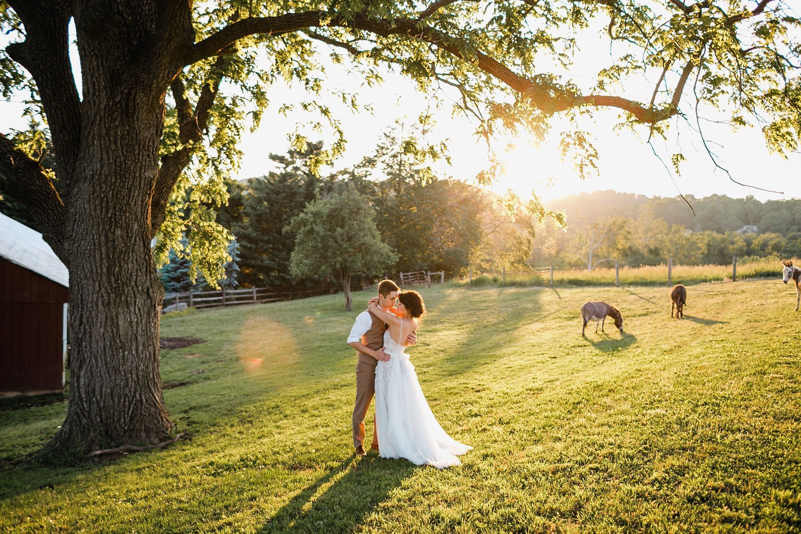 Smoker Farm Weddings Gallery | Scenic, Secluded, Affordable