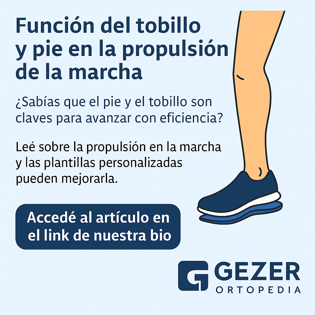El Rol del Pie en la Estabilidad y Movimiento