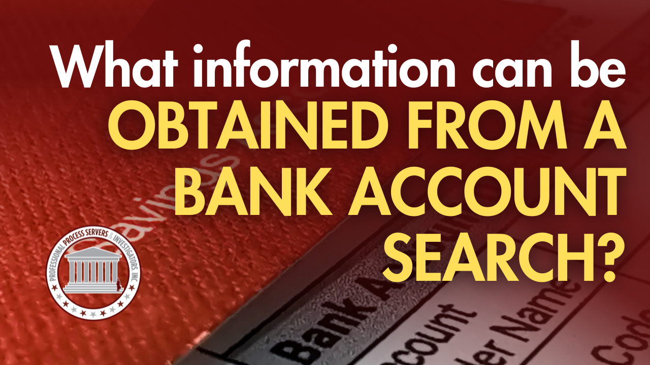 What information can be obtained from a bank account search ...