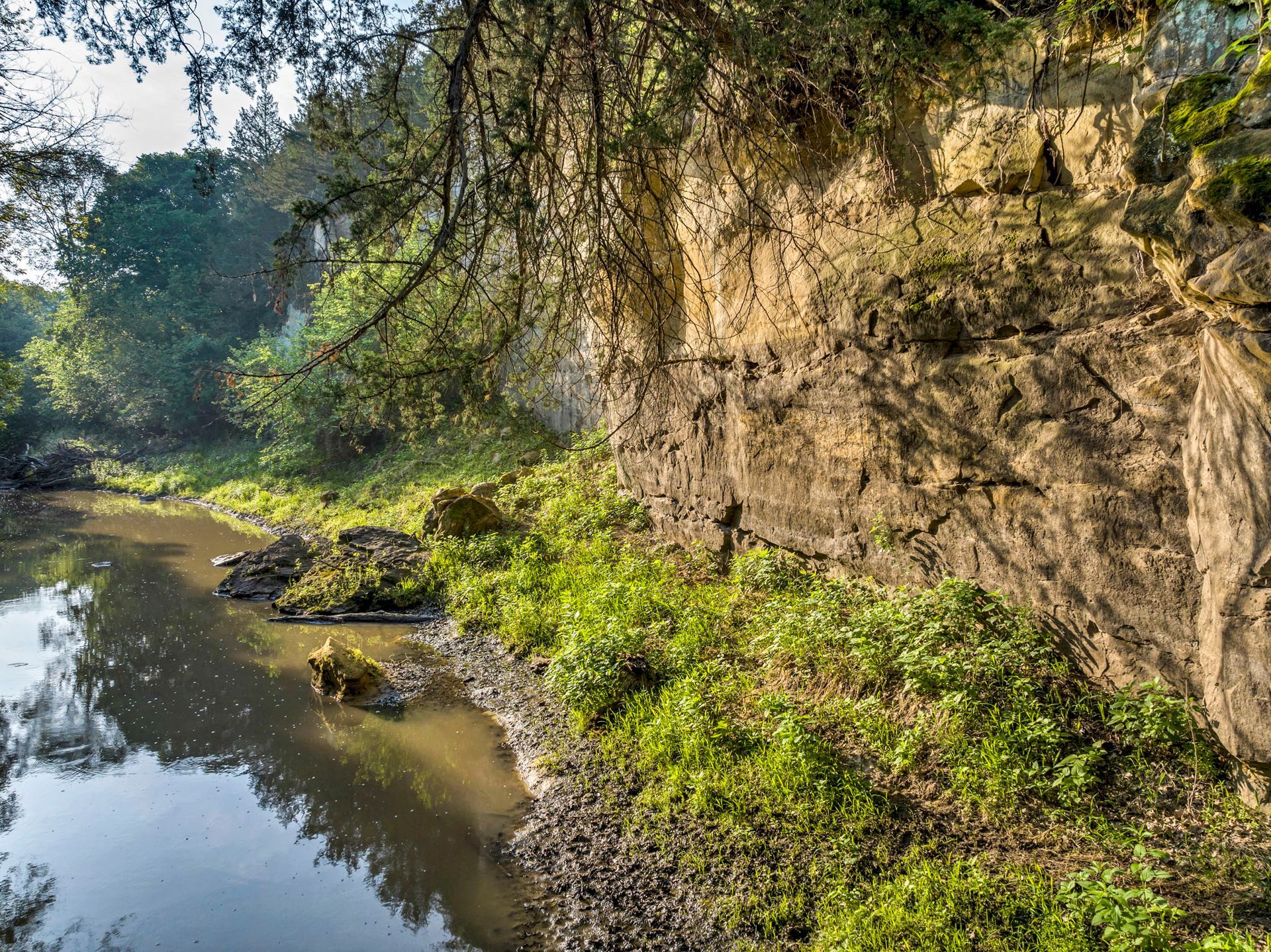 Horizon Farm & Ranch Realty, LLC