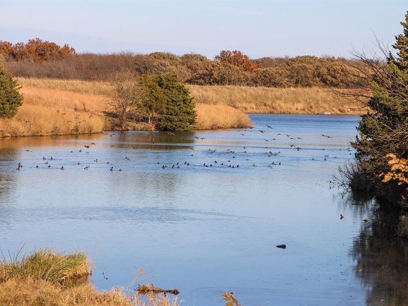 Horizon Farm & Ranch Realty, LLC