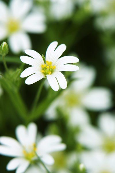 Walker Sanderson Funeral Home & Crematory | Orem & Provo, UT