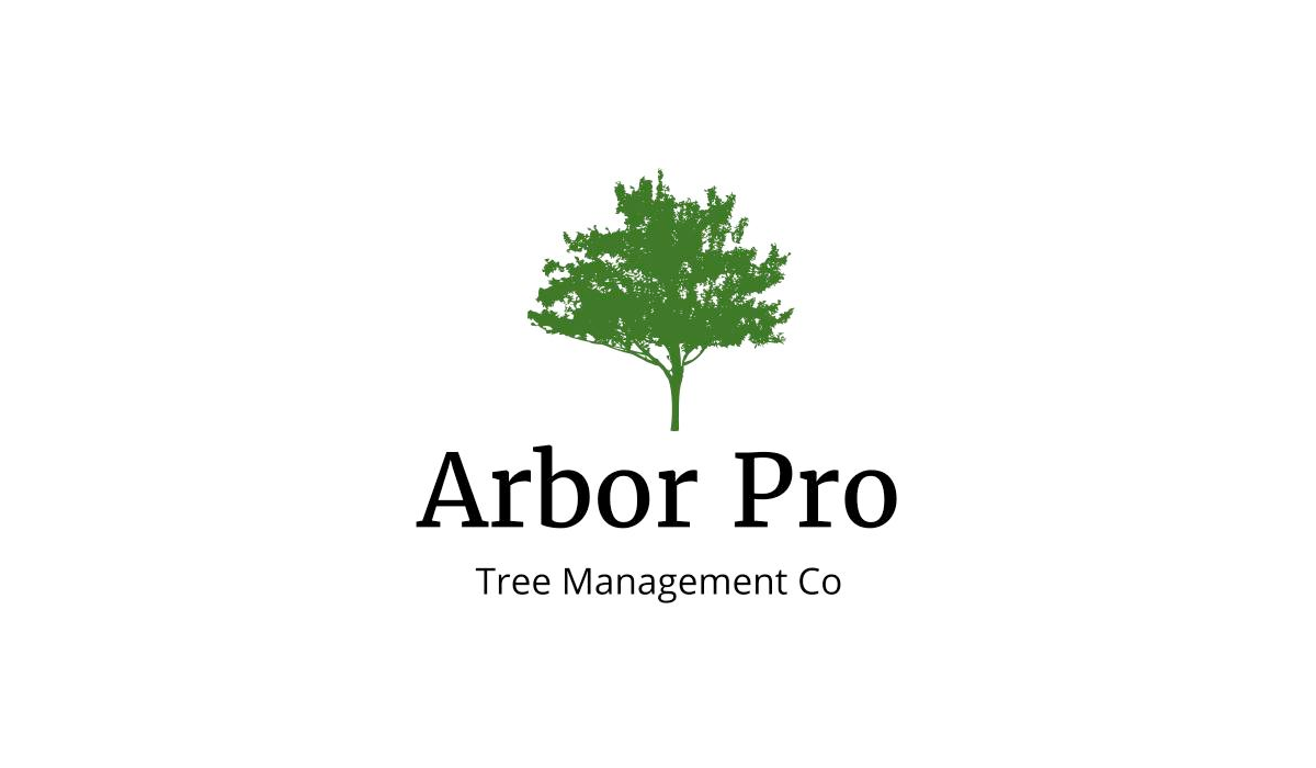 Arbor Pro Tree Service | Moline, IL & Surrounding Areas