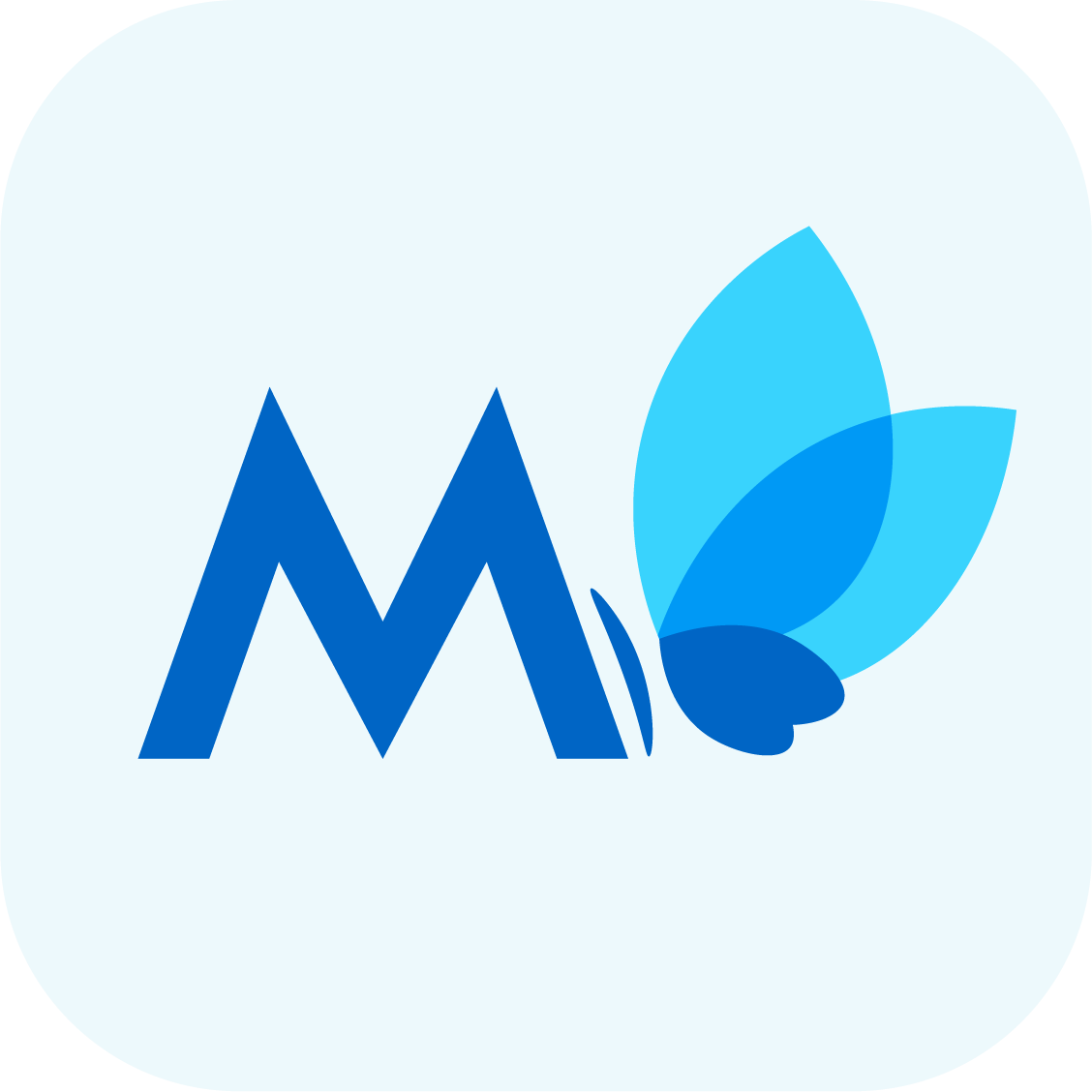 Morpho Business Solutions | Portfolio
