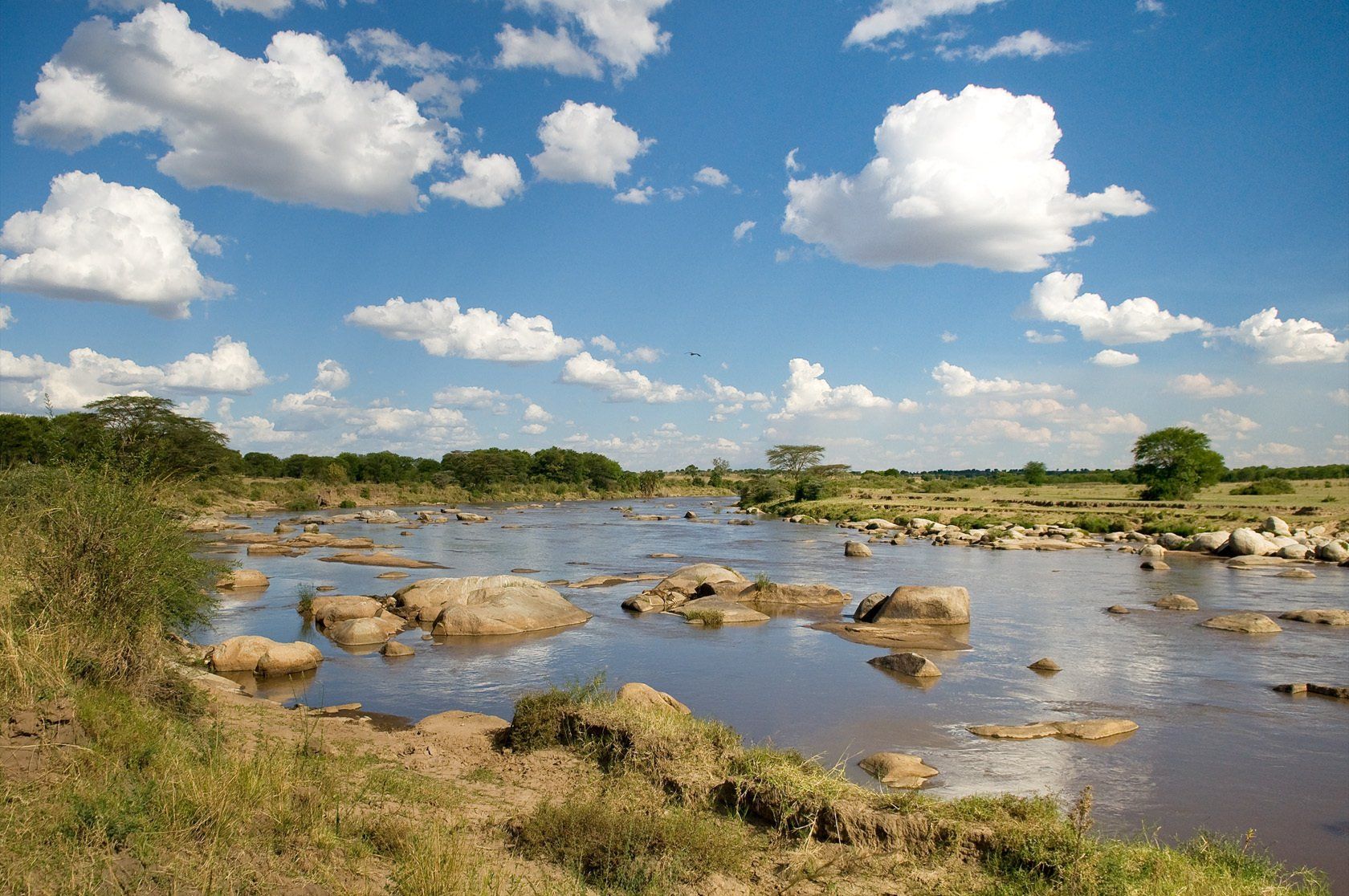 A TANTALISING TASTE OF TANZANIA!