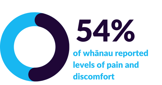 Te Tara o Te Whai - Hauraki Locality Development