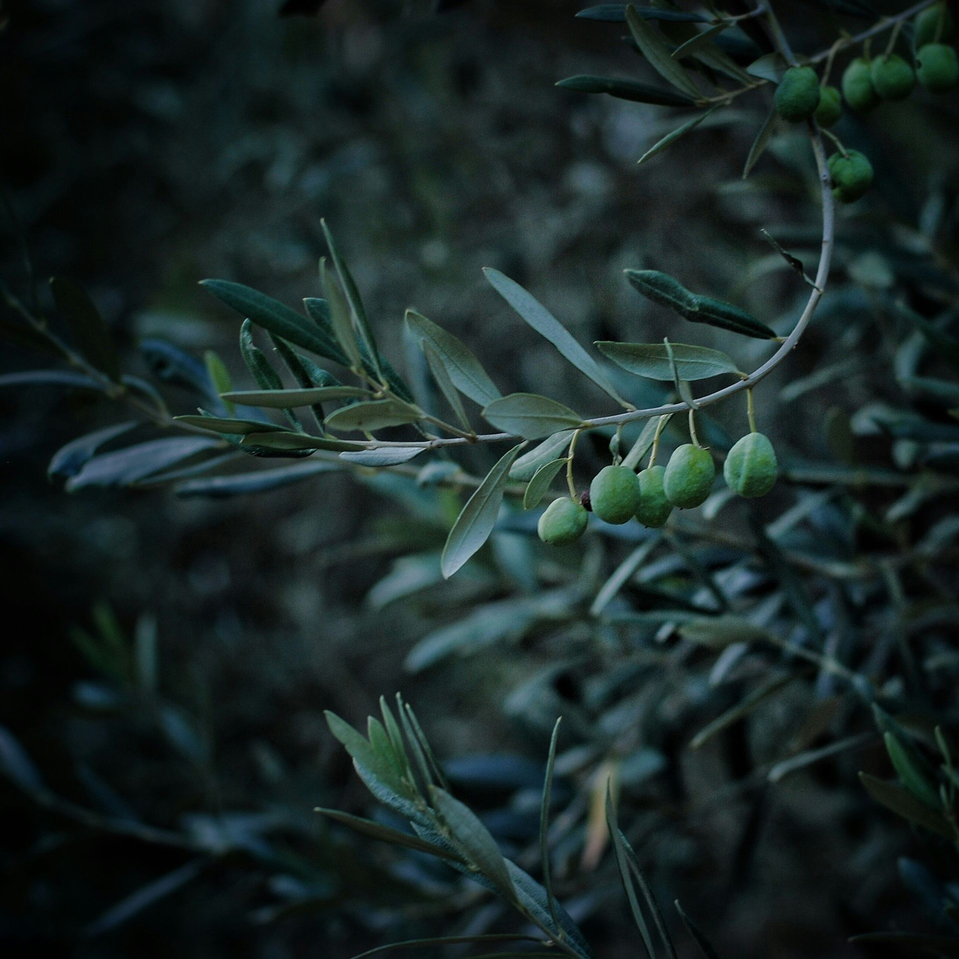 Tuesday - November 26, 2024