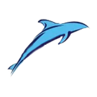 Termite Control | Los Angeles, CA | Pacific Termite