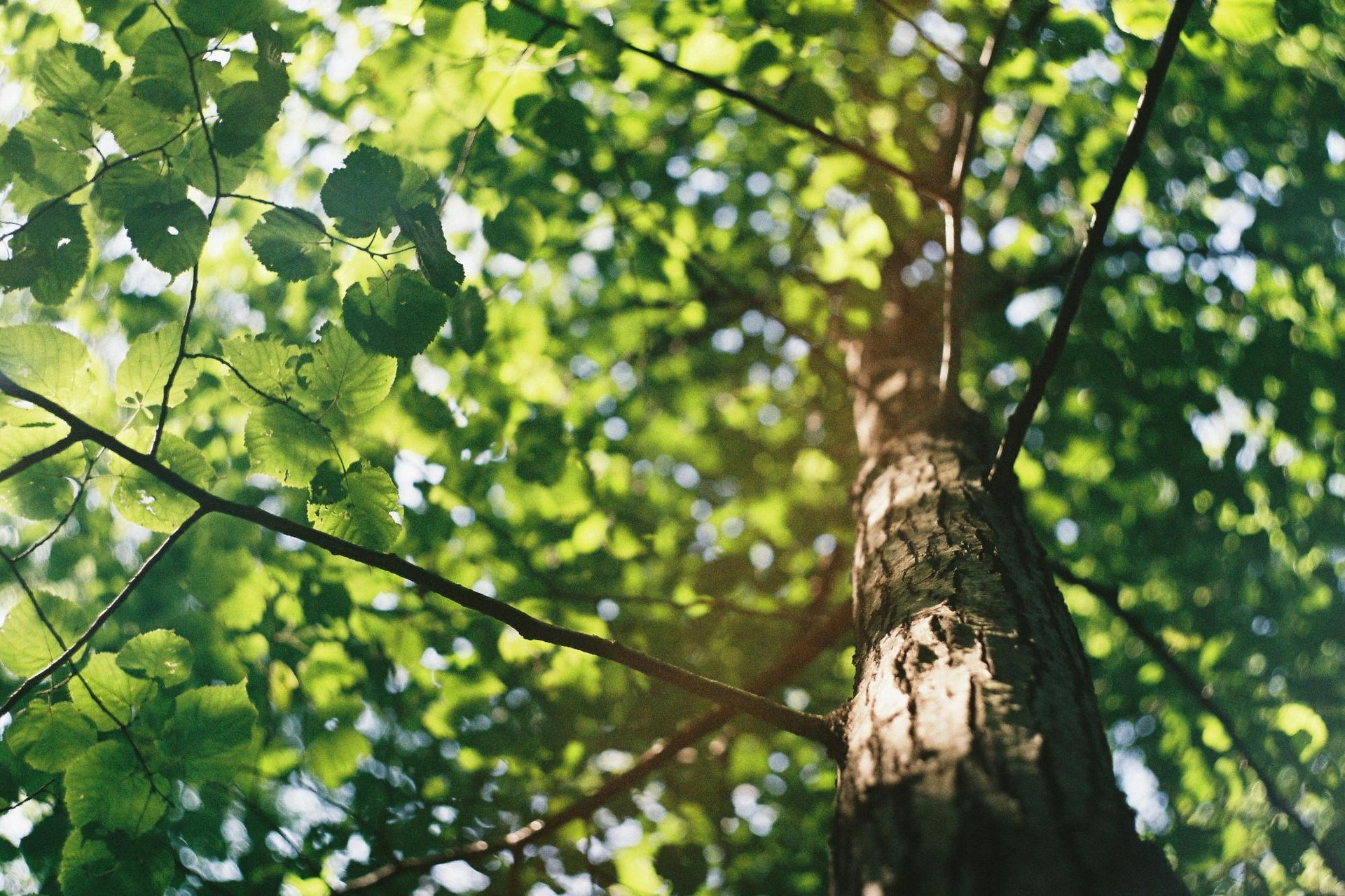 Enhancing Leadership Writing Through a Change of Scenery