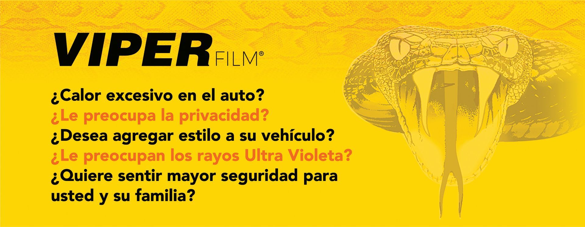 Viper Film Landing page