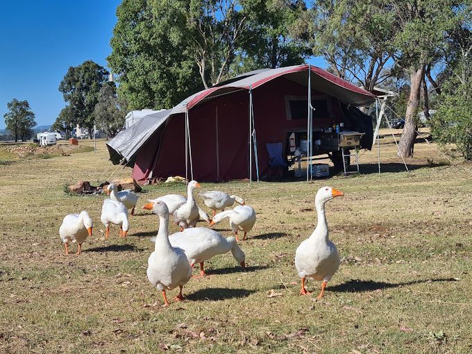 Recreation Gallery | Muswellbrook, NSW | Lake Liddell