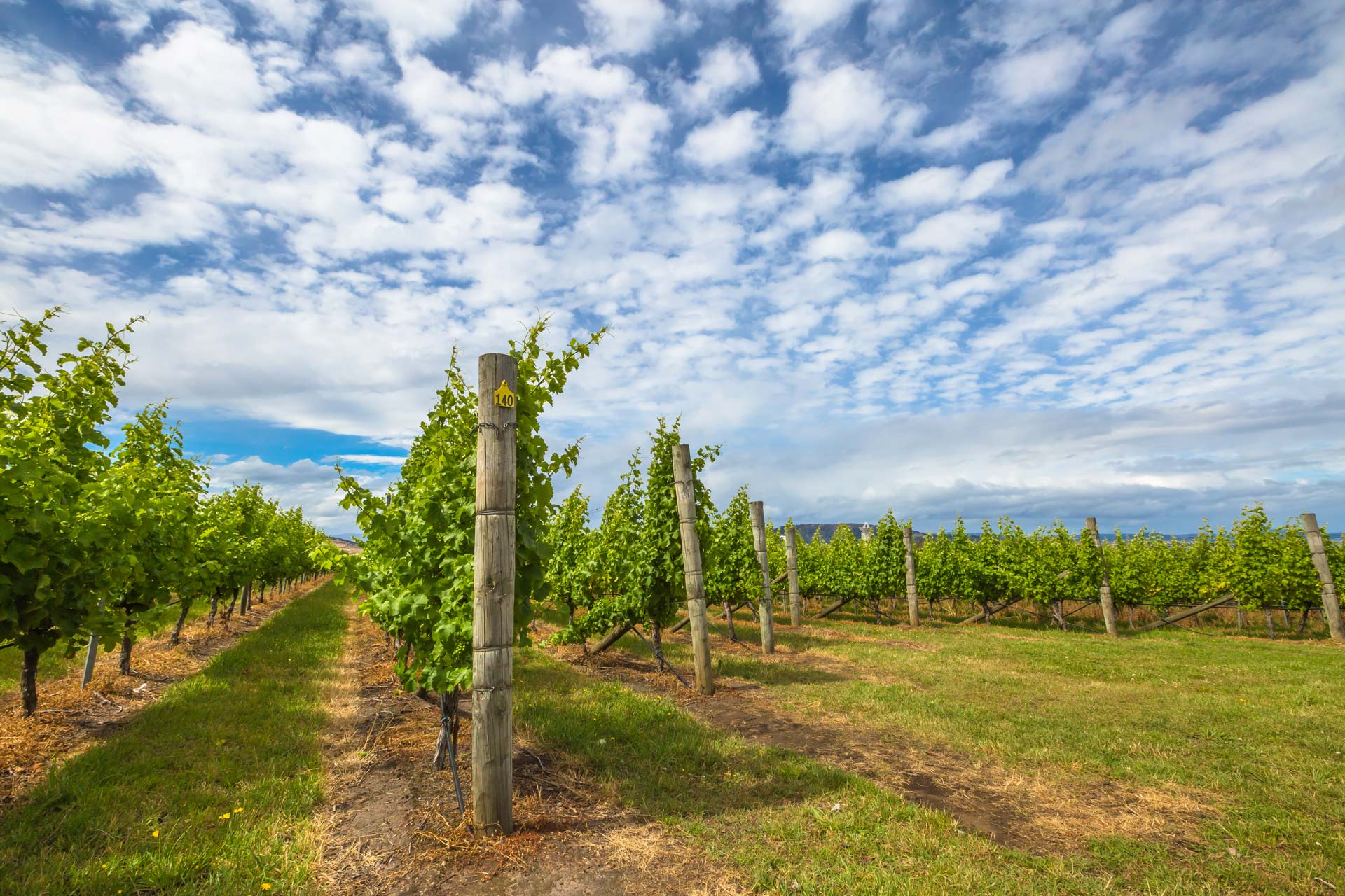 Property Conveyancing Firm | Country Lane Conveyancing