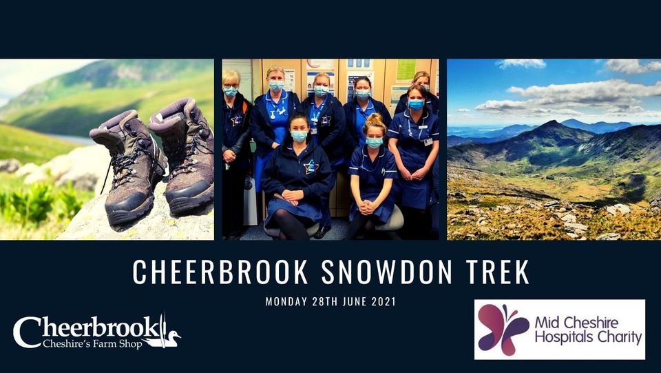 Cheerbrook Snowdon Trek