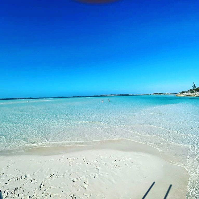 Nassau Swimming Pigs Tours & Excursions | Exuma Escapes Bahamas