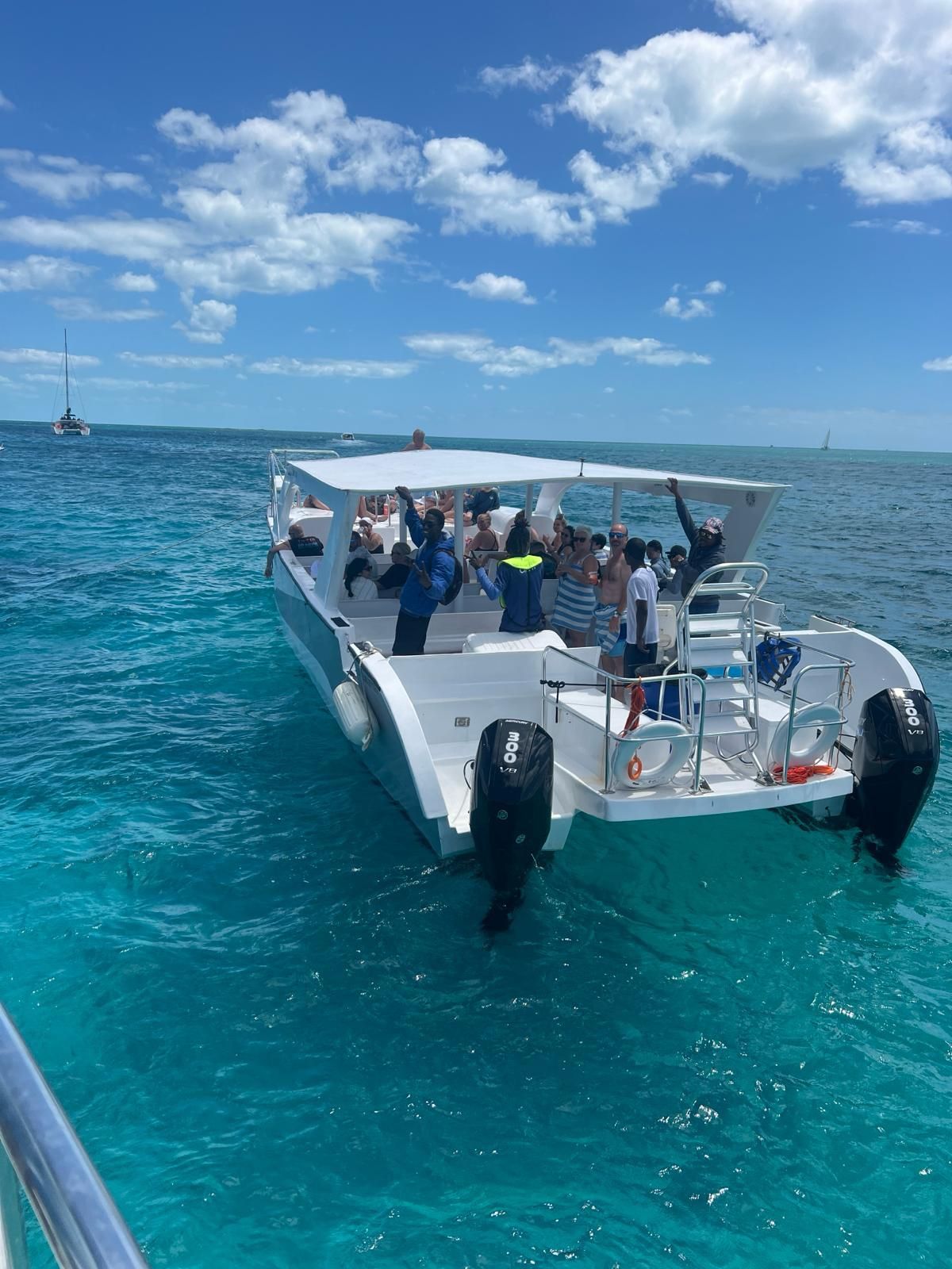 Nassau Swimming Pigs Tours & Excursions | Exuma Escapes Bahamas