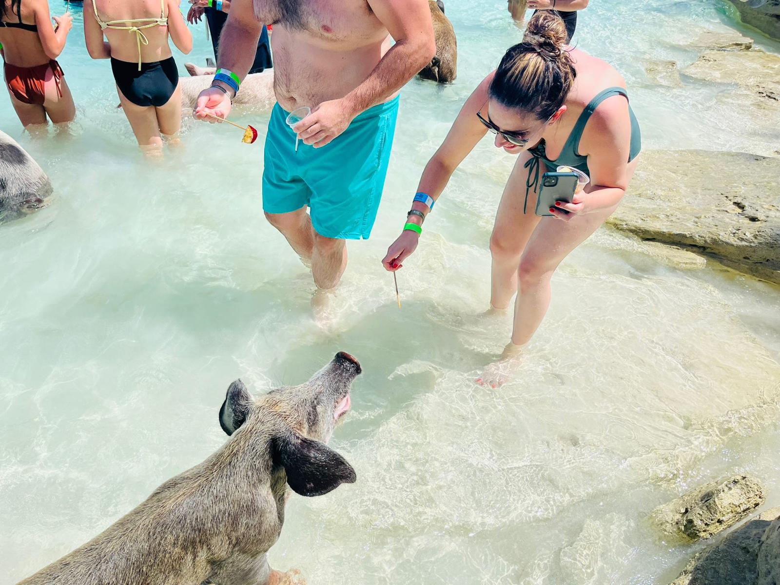 Exuma Escapes Bahamas Gallery | Swimming Pigs & Excursions from Nassau