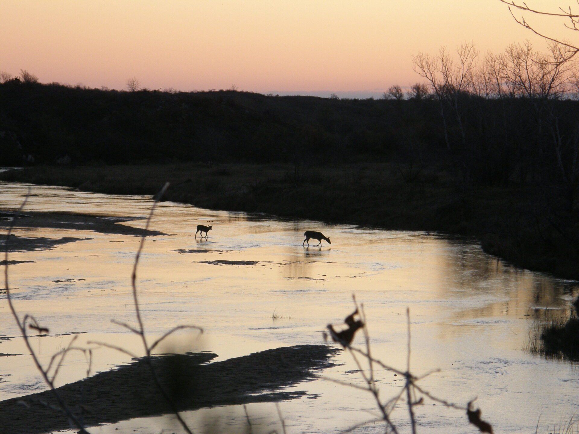 About Us | Salt Fork Hunts - Whitetail Deer & Rio Grande Turkey