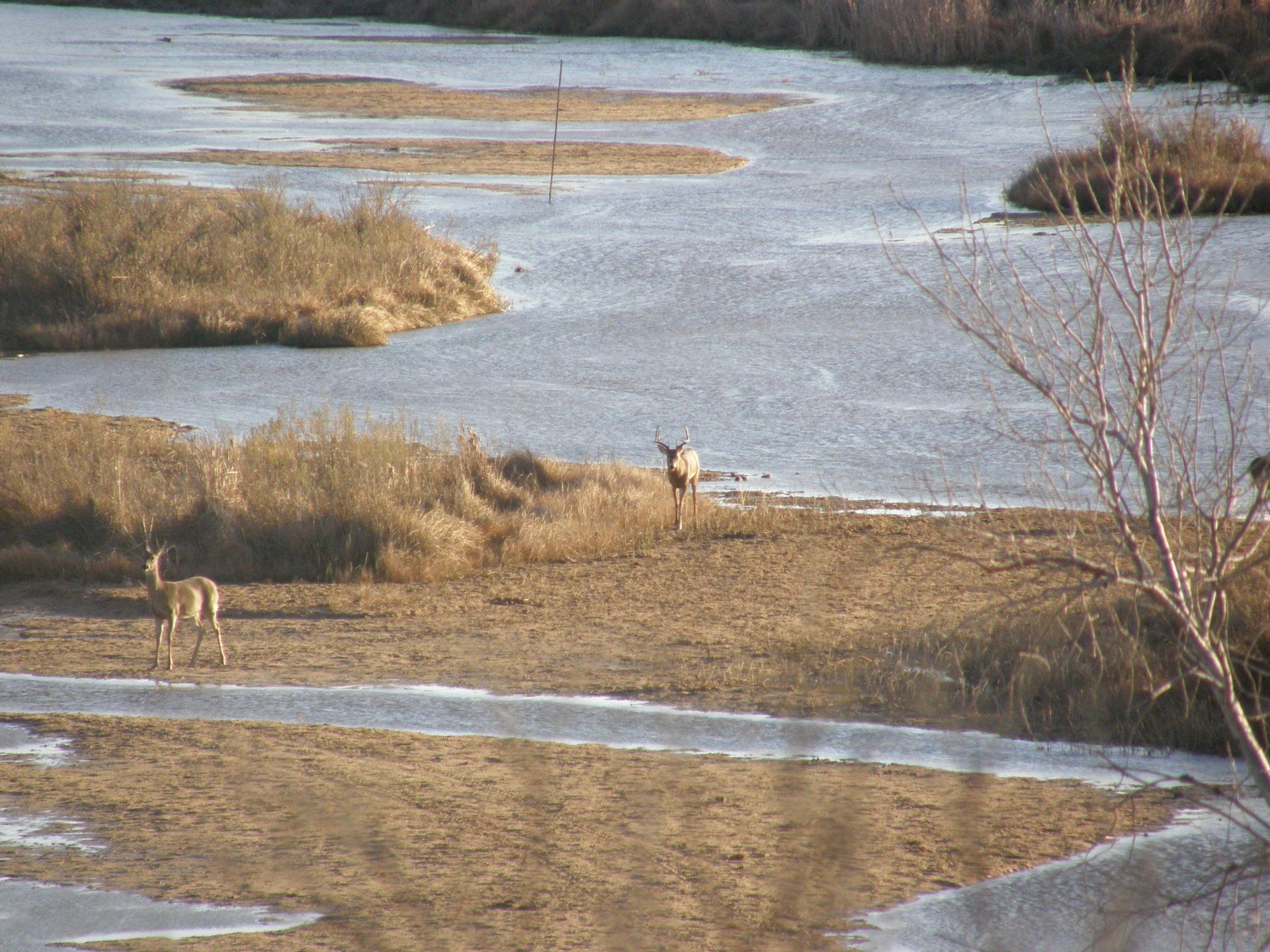 About Us | Salt Fork Hunts - Whitetail Deer & Rio Grande Turkey