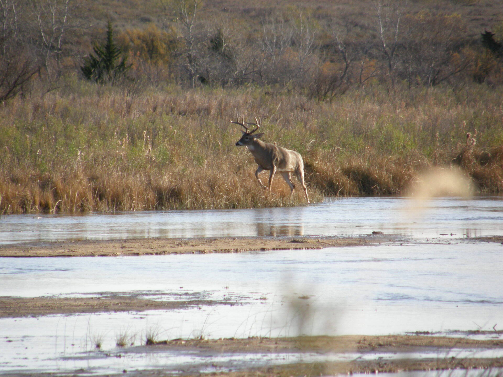 About Us | Salt Fork Hunts - Whitetail Deer & Rio Grande Turkey