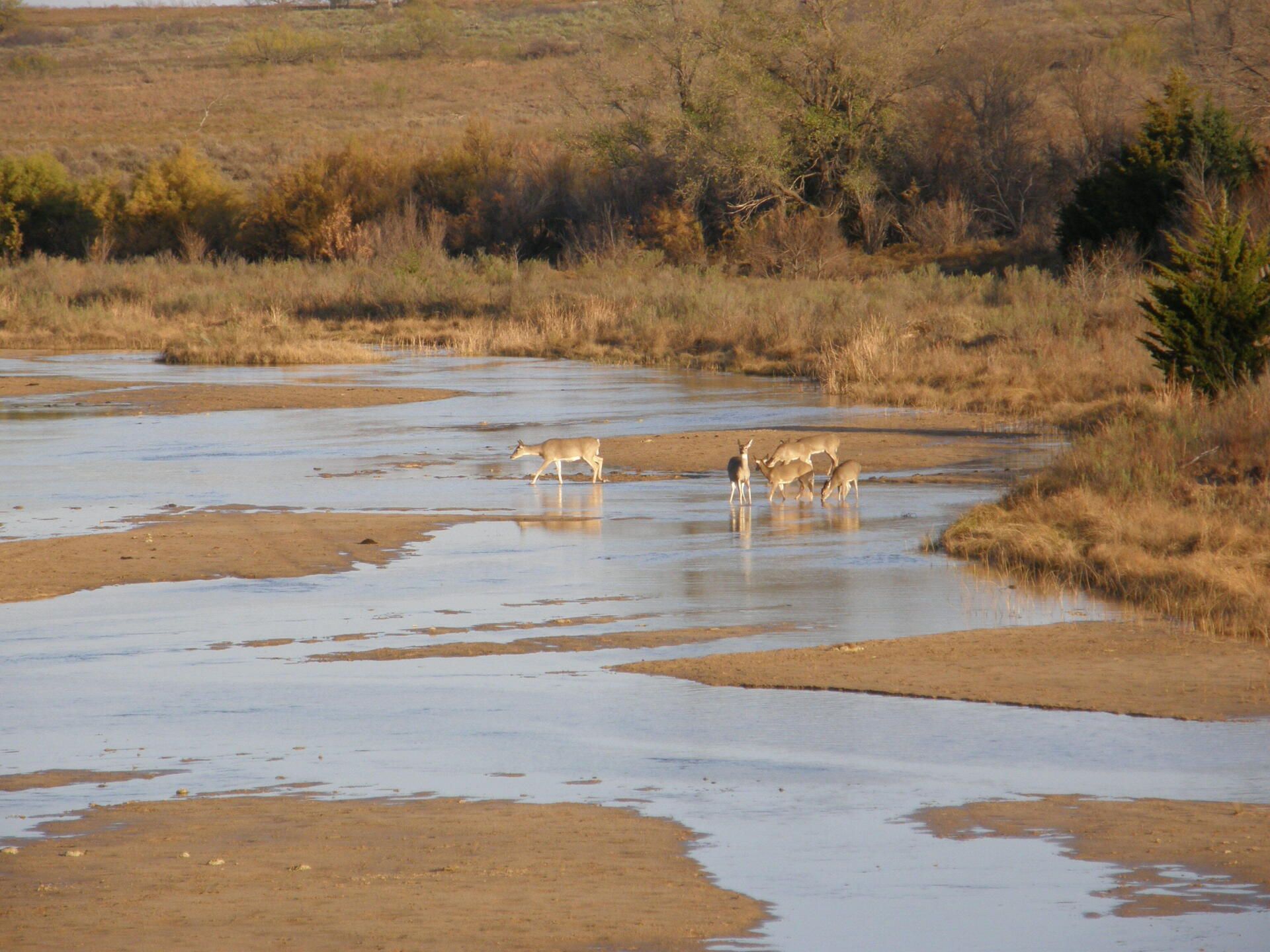 About Us | Salt Fork Hunts - Whitetail Deer & Rio Grande Turkey