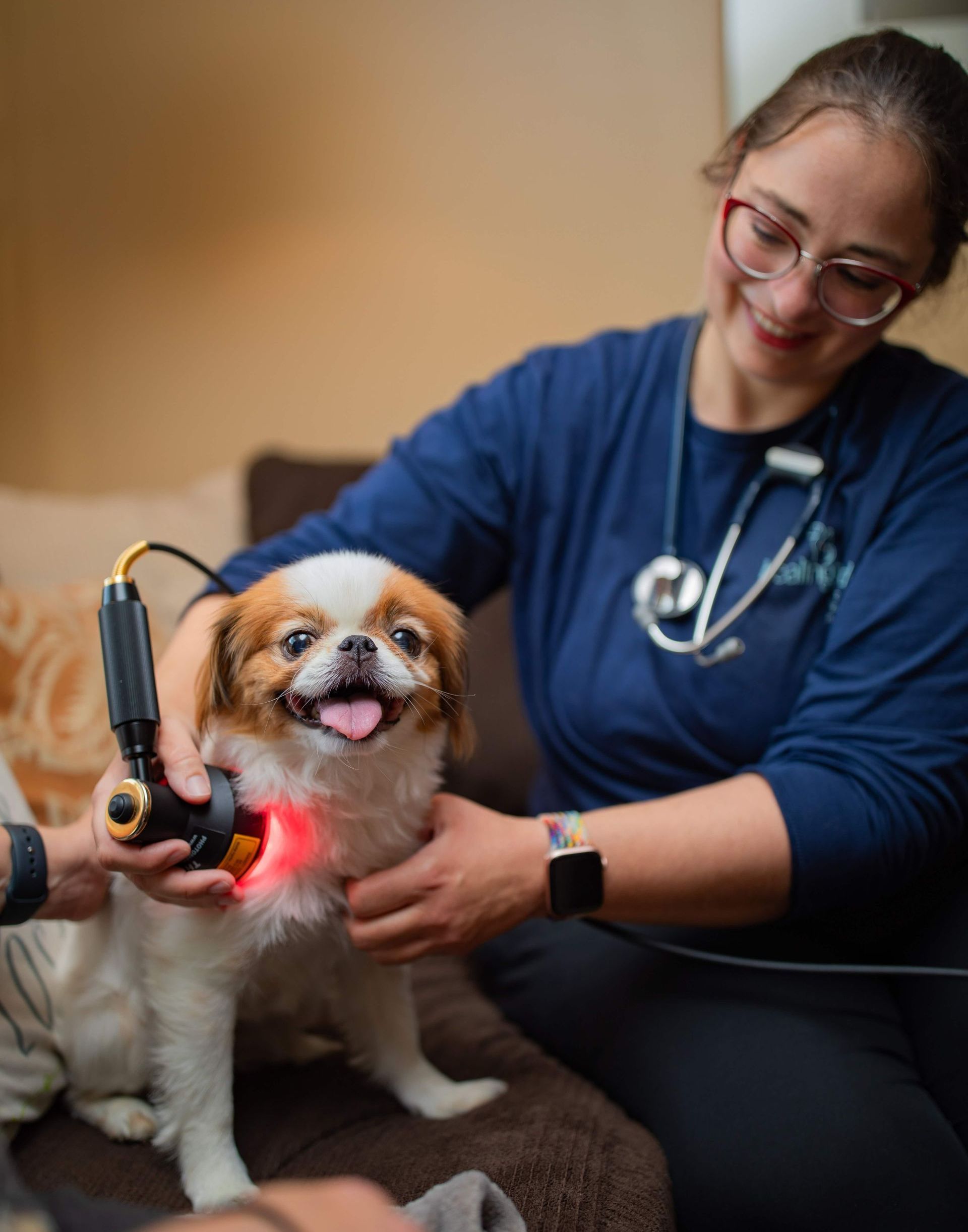 Holistic Vet Care | Acupuncture, Light Therapy, Herbal Medicine