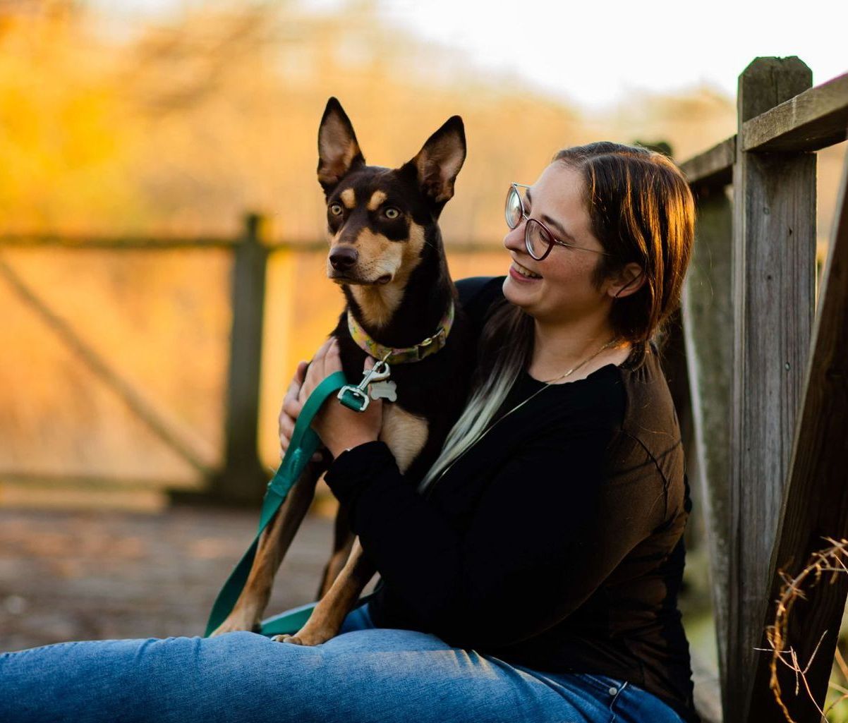 Accepting Vet Referrals | Dr. Jessi Turner, DVM, CVA