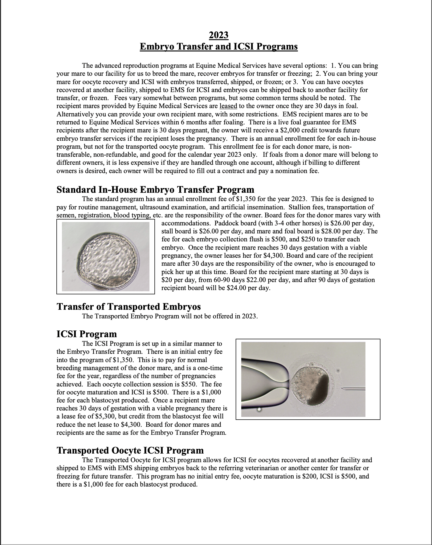 Equine Medical Services| Columbia, MO | Embryo Transfer Morphology ...