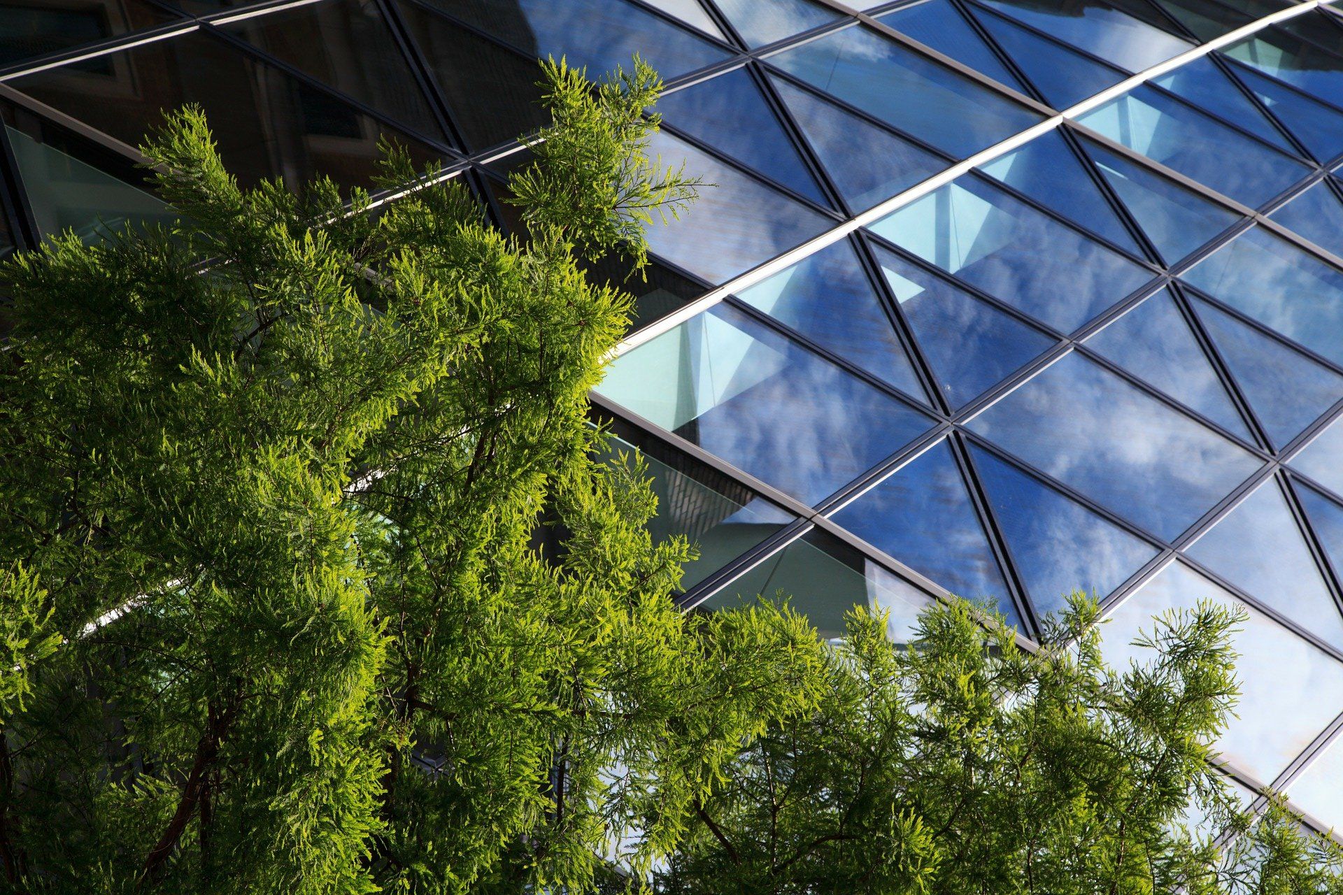 Security Window Tint – Something to Consider for your Grow Operation ...