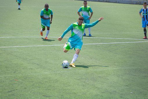 The OARBED model for business behaviour