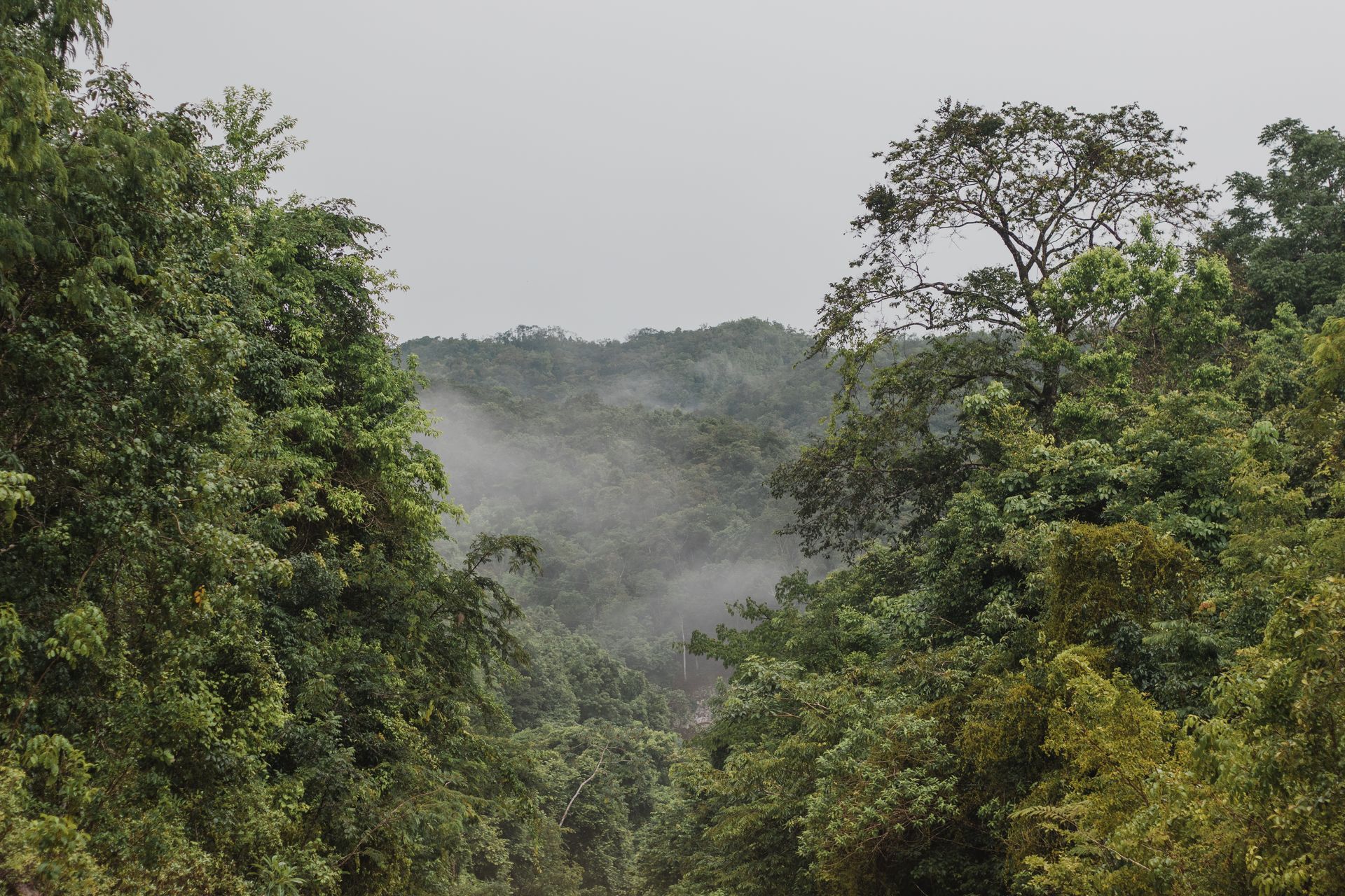 World Environment Day: How Belize Protects its Natural Resources