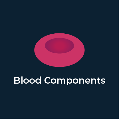 What is Blood Made Of? Blood Composition and Functions
