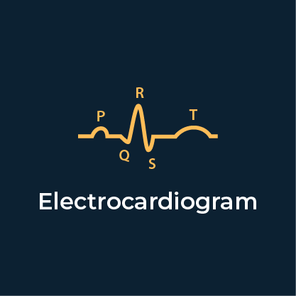 Heart Electrical System Anatomy and Sequence of Electrical Conduction