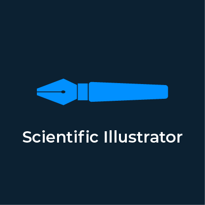How to Become a Scientific Illustrator in 5 Steps