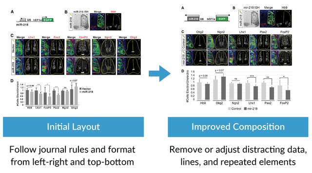 how to draw figures for scientific papers
